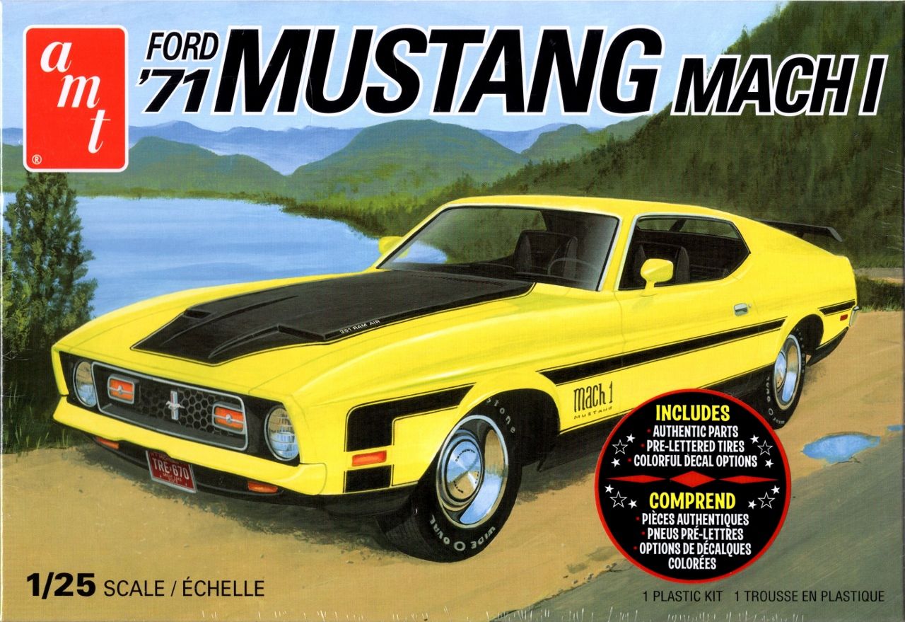 1971 Mustang Coupe Custom